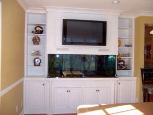 built in TV with small fishtank