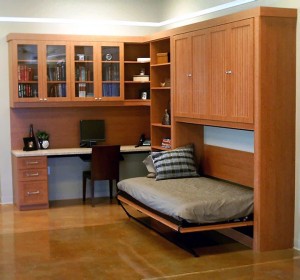 17 Space-Wise Murphy Bed Units