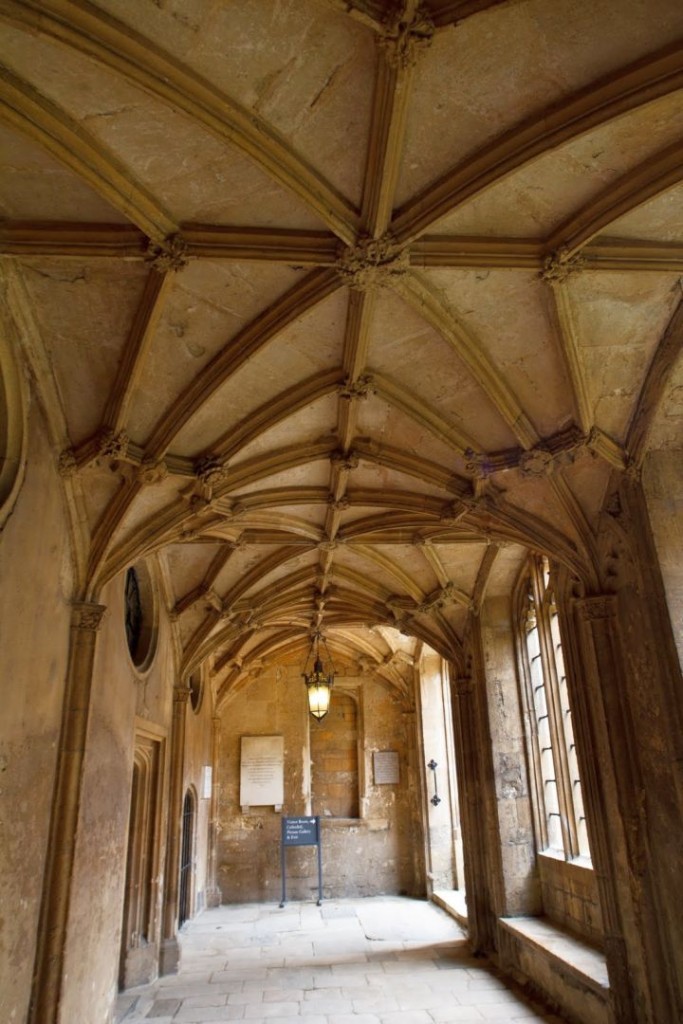 18 Amazing Vault Ceiling Designs Photos
