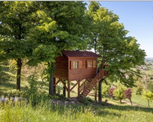 17 Fun Looking Tree House on Stilts Ideas