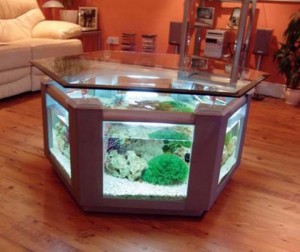 17 Pleasing Contemporary Fish Tank Ideas