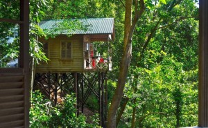 17 Fun Looking Tree House on Stilts Ideas