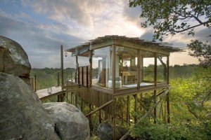 17 Fun Looking Tree House on Stilts Ideas