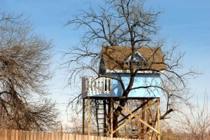 17 Fun Looking Tree House on Stilts Ideas